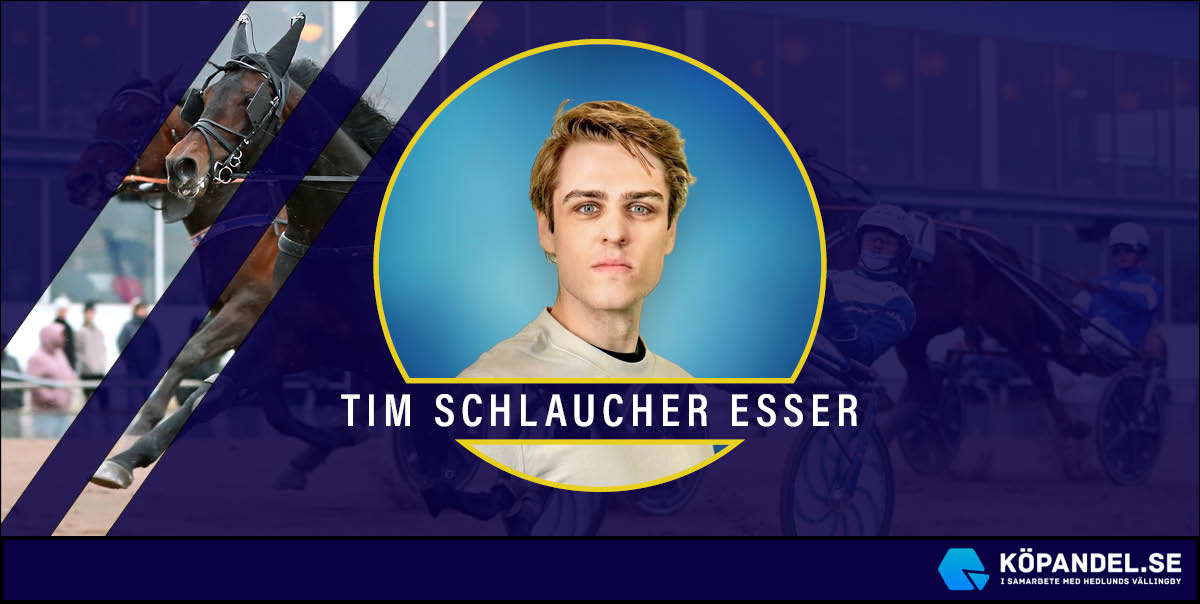 V86 Åby/Solvalla - Spelvärt drag på Solvalla! – KöpAndel.se